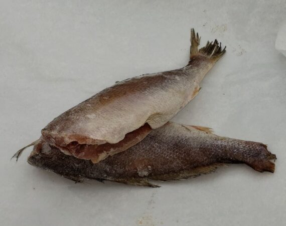 Banga Mary Fish *per pound • Store To Door Jamaica